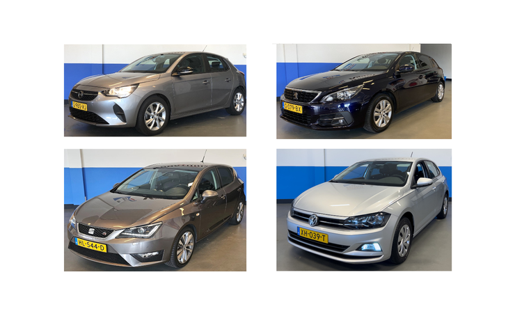 Veilingen - gsd-auctions․nl