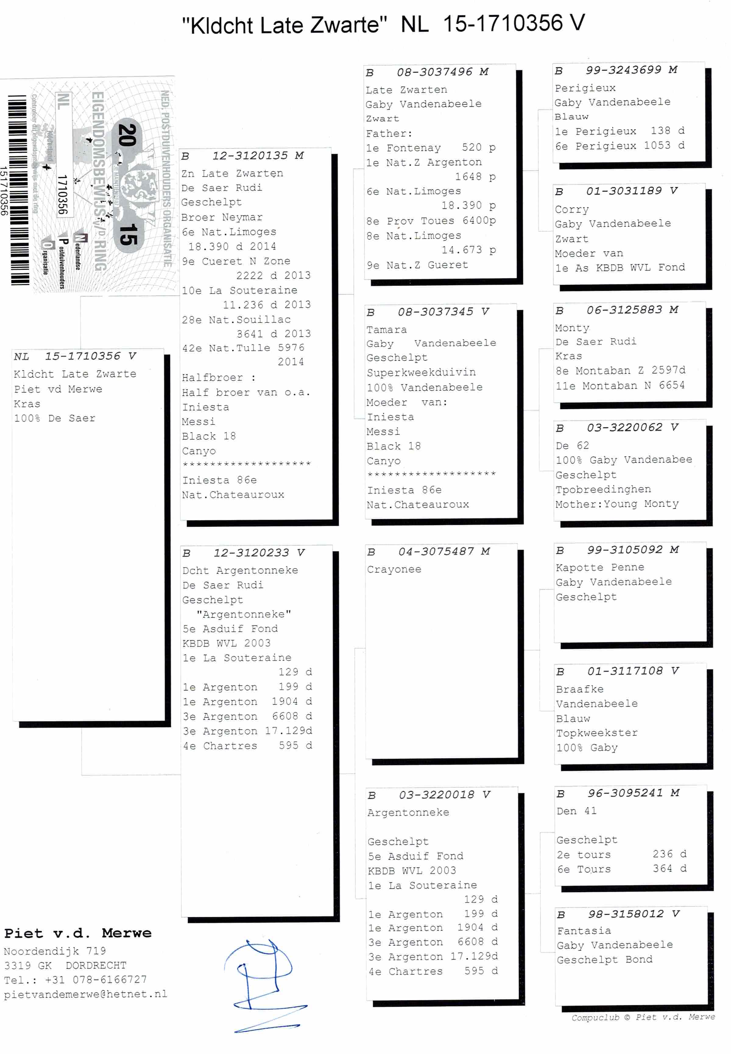 Duif 73 - NL15-1710356 - Piet vd Merwe - Pigeons4you