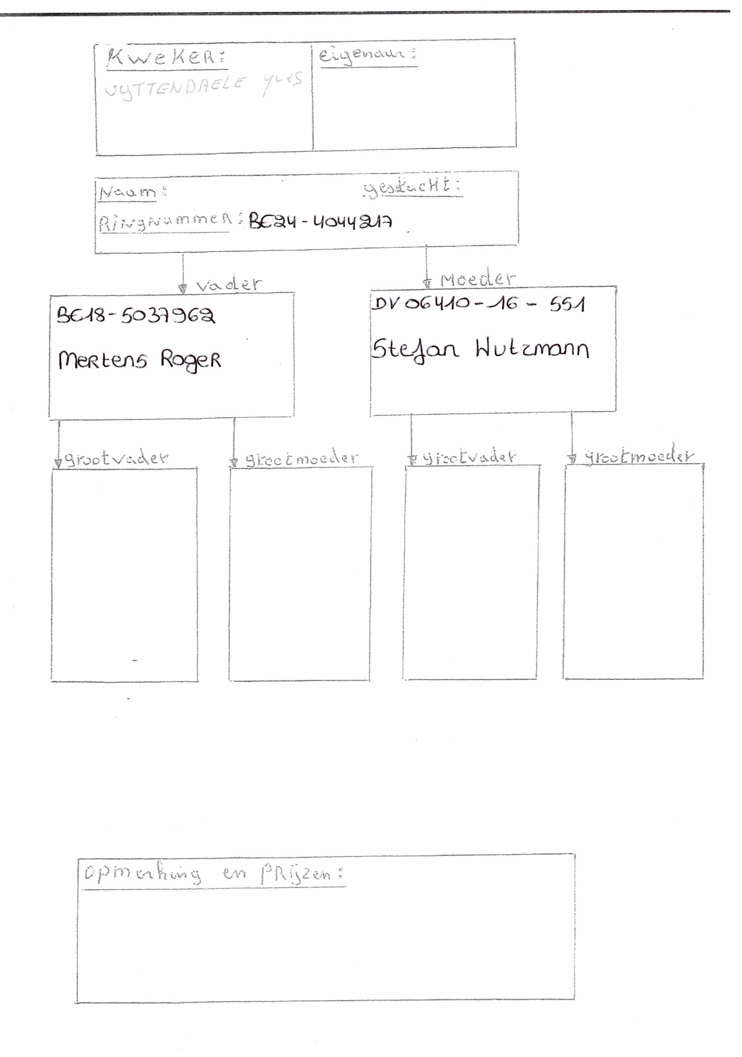 Duif 127 - 24-4044217 - Mertens Roger - Pigeons4you