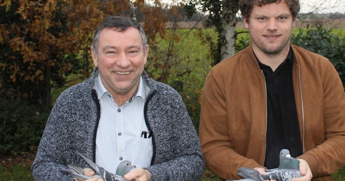 BON 43 - Mathias Putman (Zwevegem) - Pigeons4you