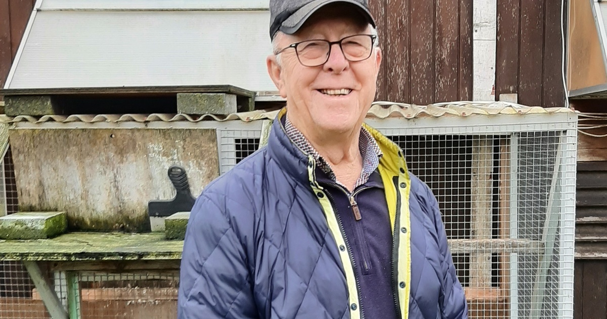 BON 20 - ROGGE ANTOON AARSELE - Pigeons4you